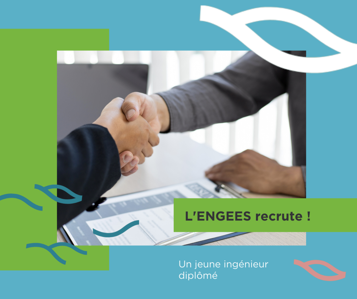 L'ENGEES recrute un jeune ingénieur ! - ENGEES - Strasbourg